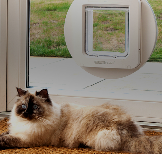 Pet Flap Doors North East - Your Pets Freedom is our Expertise!